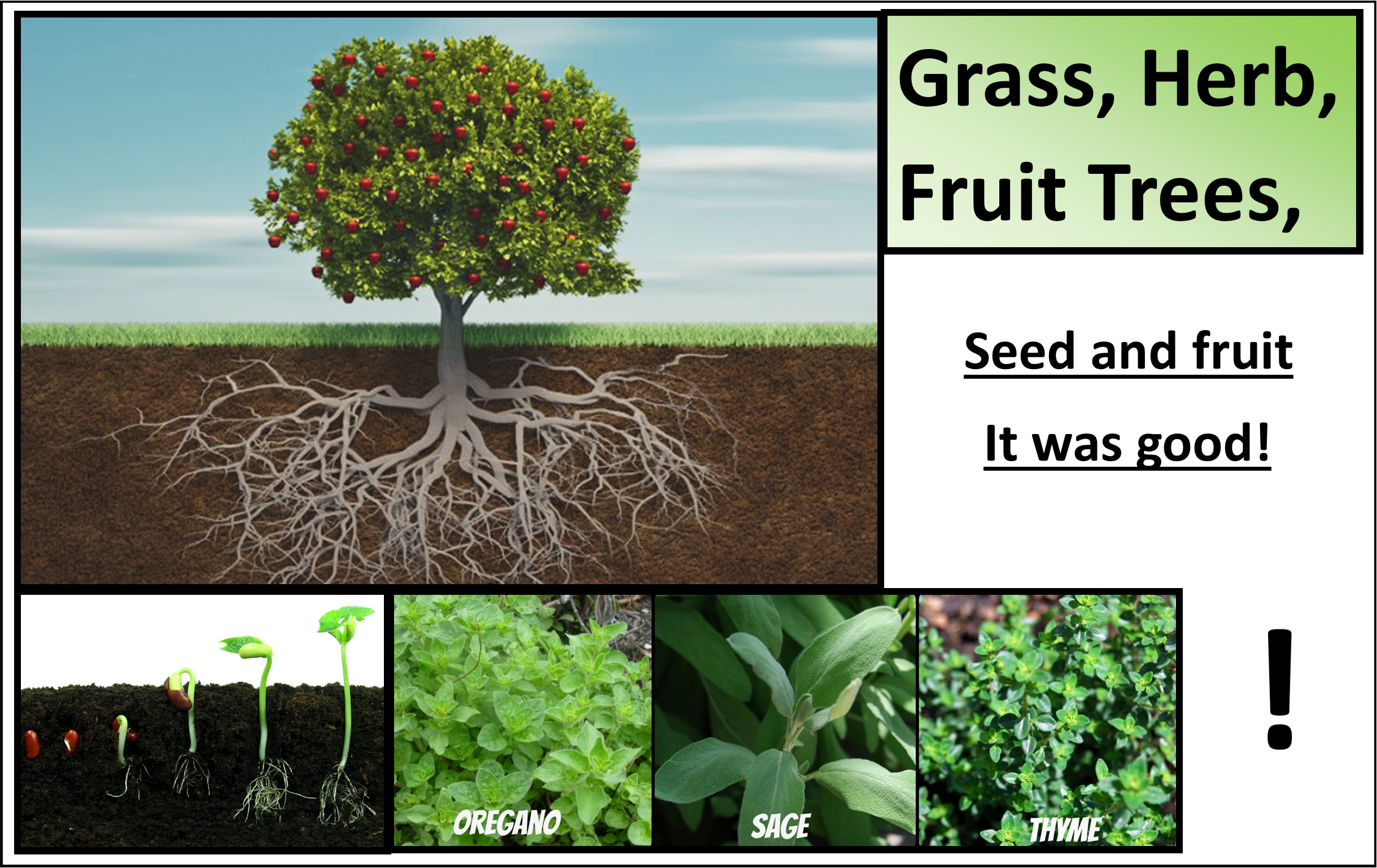 Awakening - Teaching Bible to Children: The Creation!