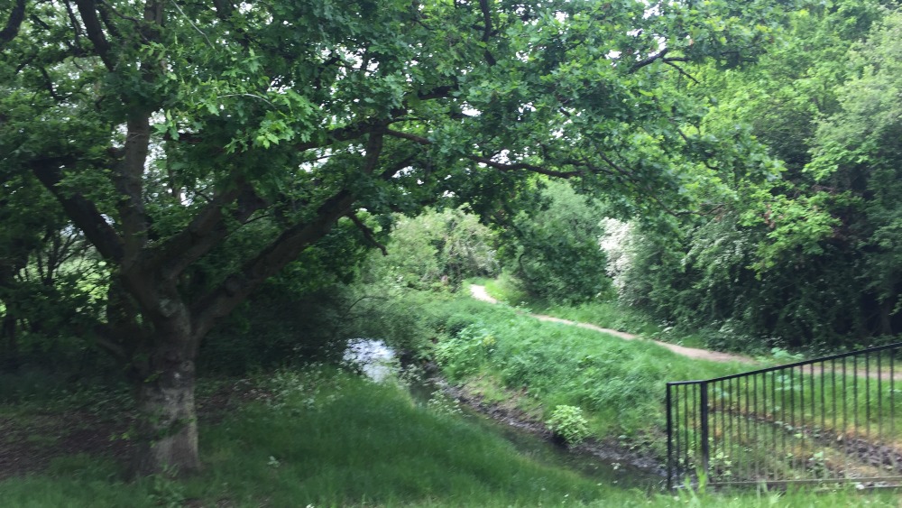 London underfoot: Hillingdon Trail 1: Cranford - West Ruislip