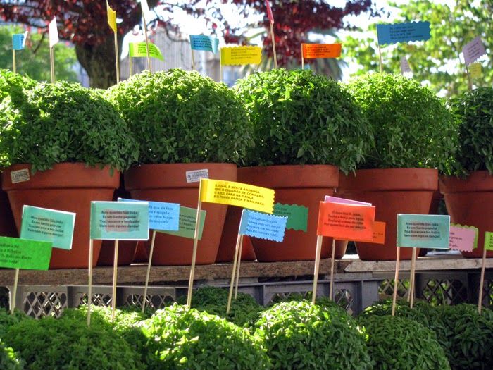 O manjerico e as suas vendedoras. A tradição do São João!