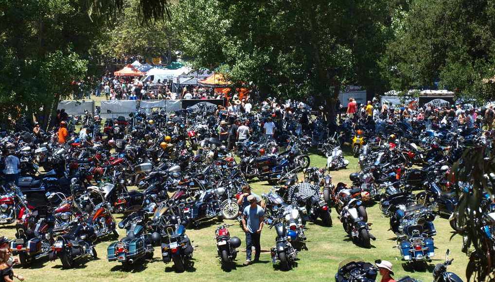 Bikers: 2012 BORN FREE motorcycle show