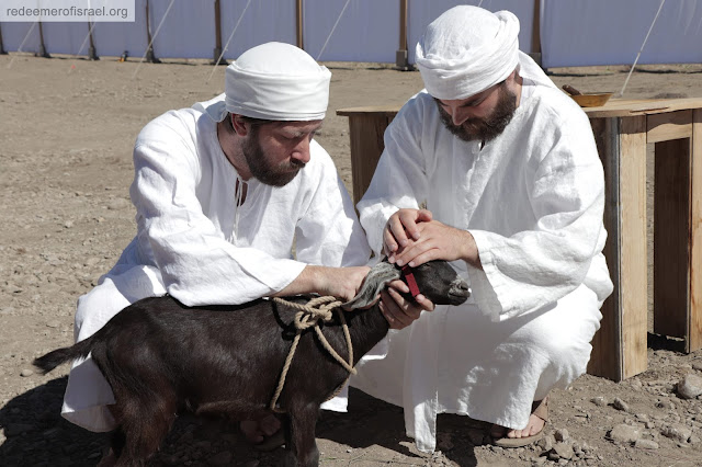 Redeemer of Israel: Understanding the Day of Atonement or Yom Kippur