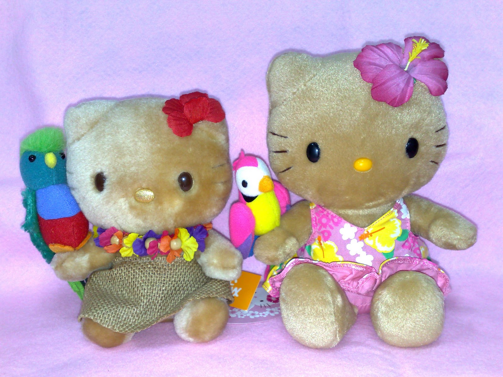 Hello Kitty Karma: The Hawaii Suntan kitty story