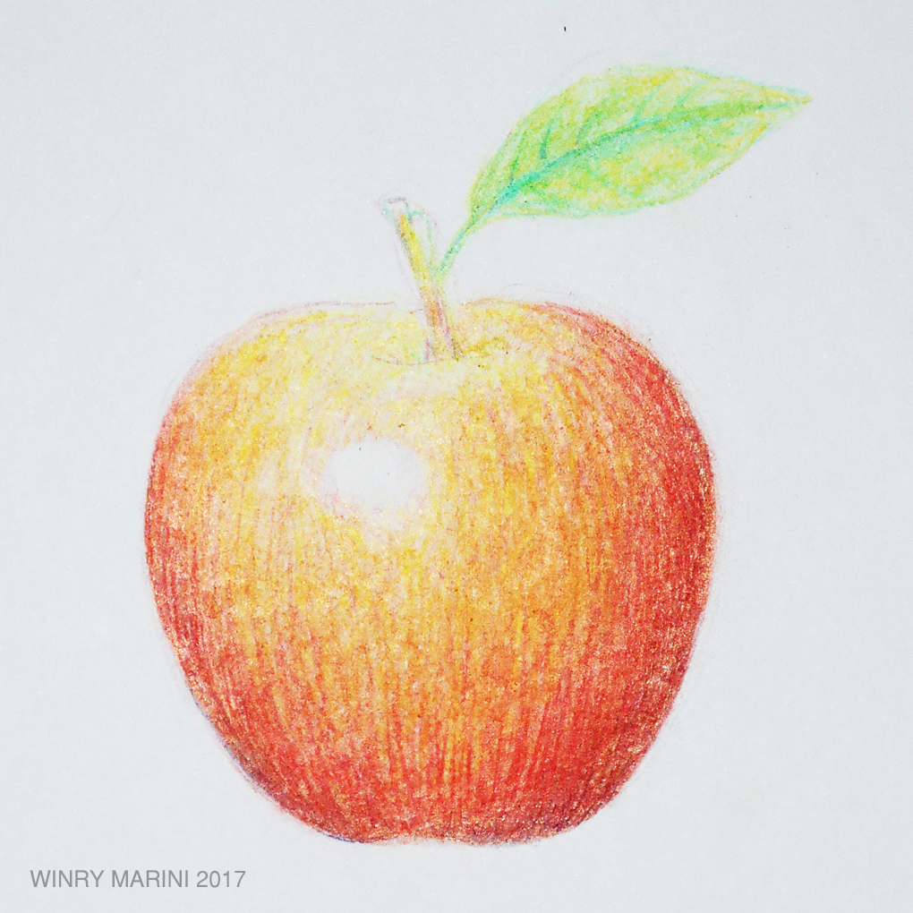 Art and Lore: How to Draw an Apple with Colored Pencils (Menggambar ...