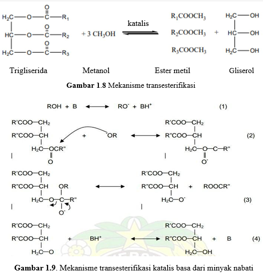 Reaksi Transesterifikasi - Sains Pangan