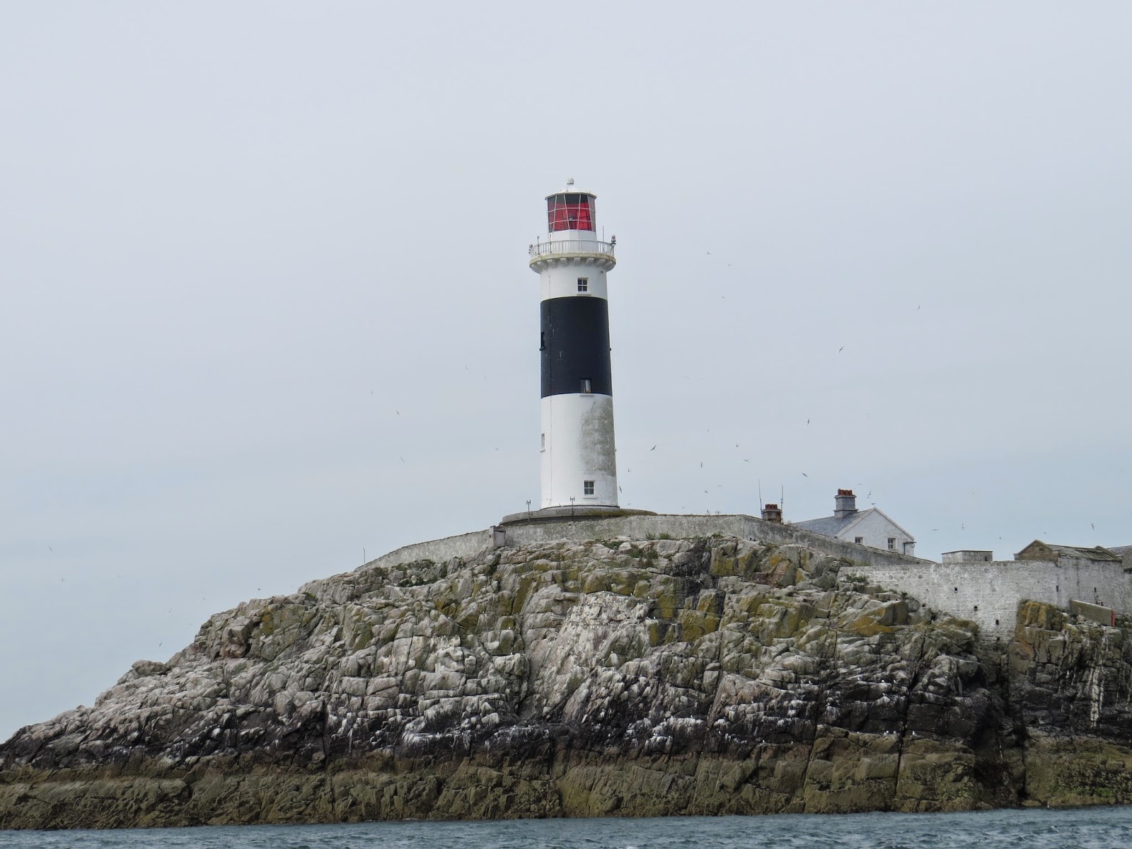 Pete's Irish Lighthouses: Rockabill