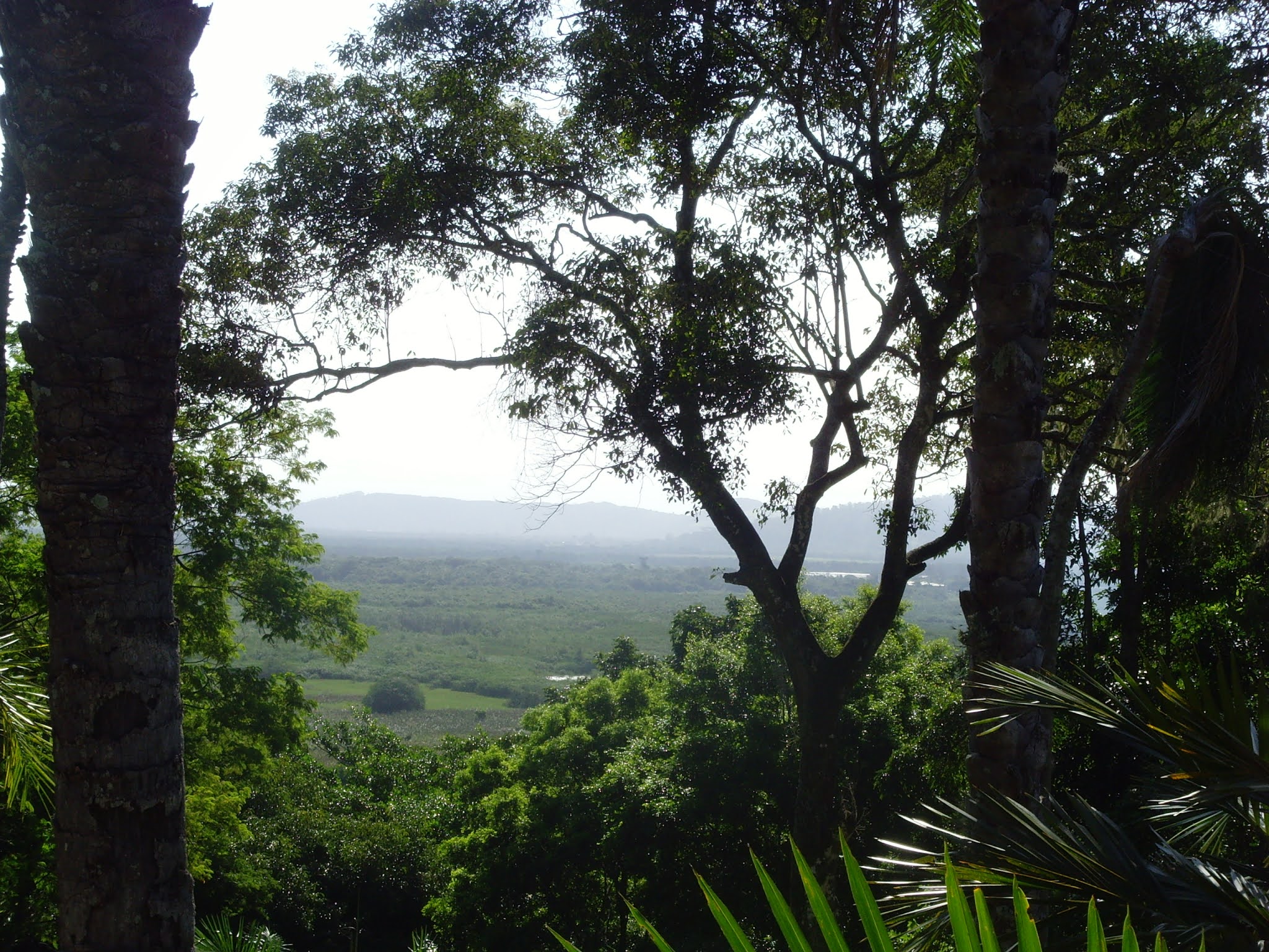 Luana Prazeires Collection: Barra de Guaratiba - RJ - História ...