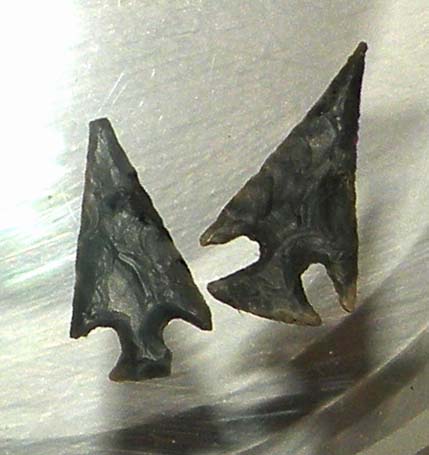 Elfshot: Beothuk Artifacts in the Mary March Museum