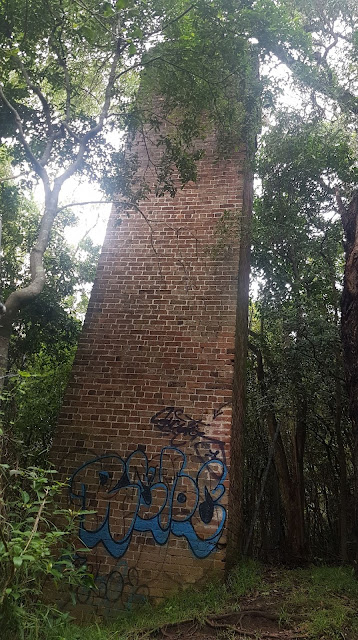 Steventure: Mount Keira - Ken Ausburn Track