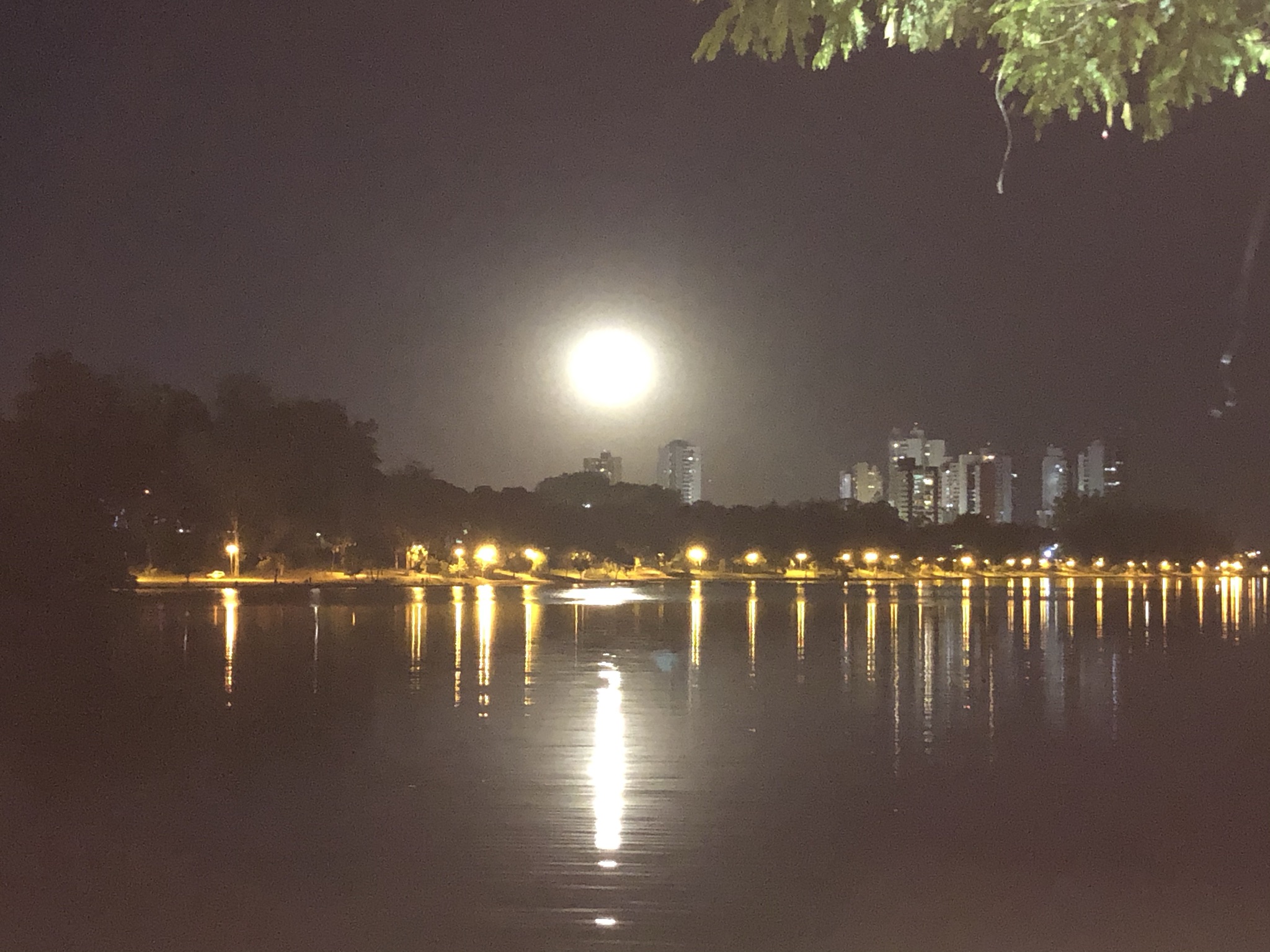 Publicações do dia 17: A lua