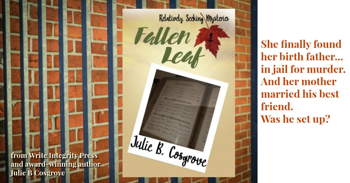 The Diamond Mine of Christian Fiction: JULIE COSGROVE'S NEW RELEASE ...