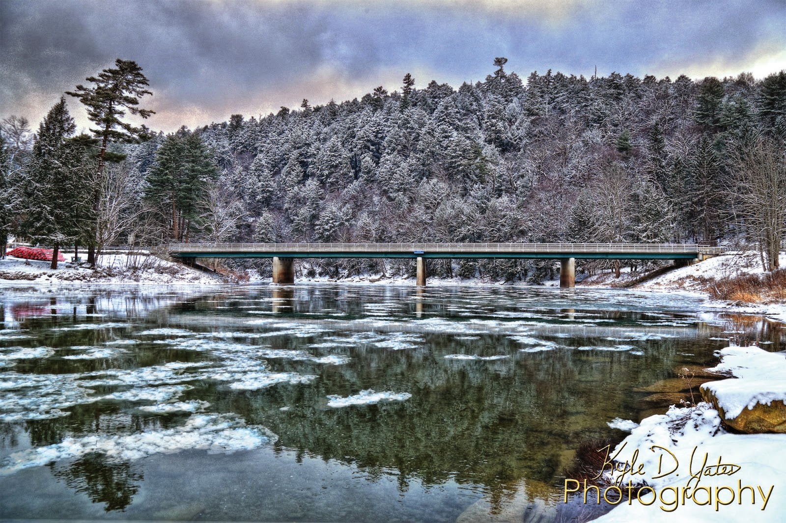 Kyle Yates Photography: DAY 786 [ Cook Forest State Park ]