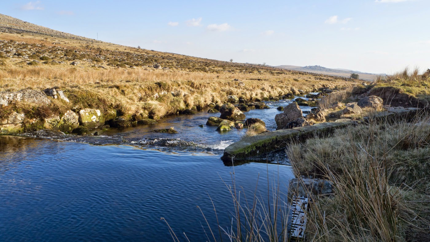 My Dartmoor Walks: Saturday 21st March River Walkham