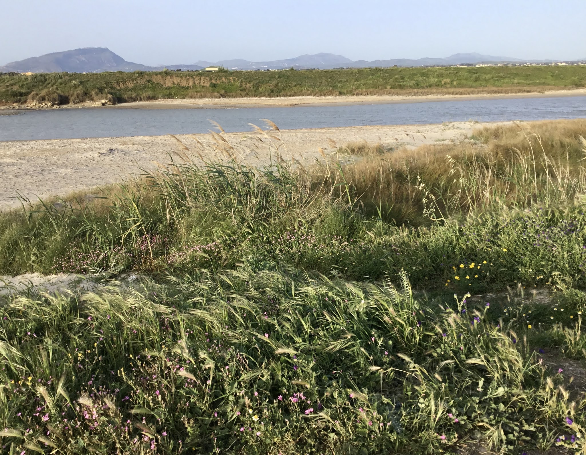 Trapani, una falce sul mare