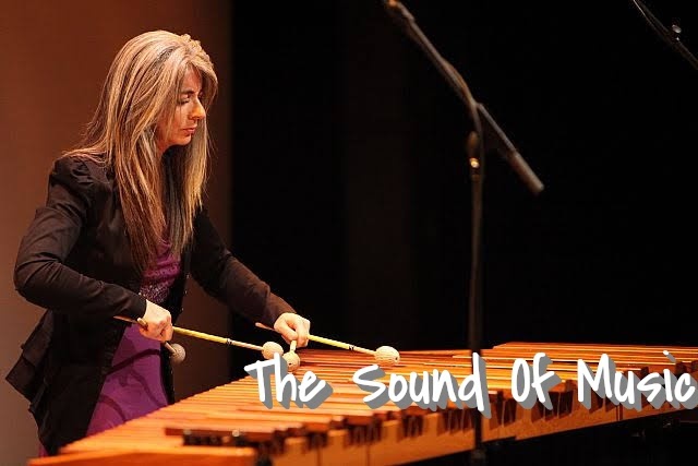 Class 9 Chapter 2 i The Sound Of The Music ii The Sehnai Of class-9-chapter-2-i-the-sound-of-the-music-ii-the-sehnai-of
