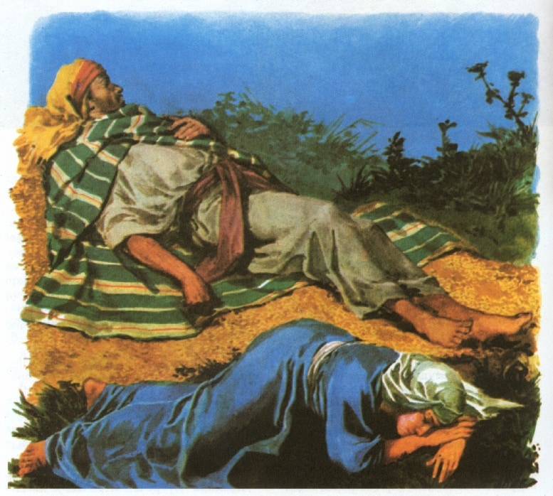 SOLA SCRIPTUTA: RUT 3 - Biblia