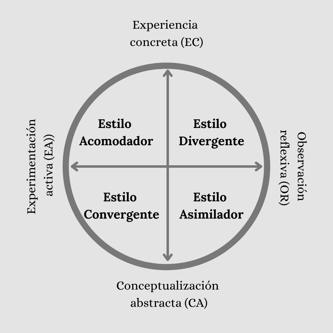 Los 4 estilos de aprendizaje según el modelo de Kolb