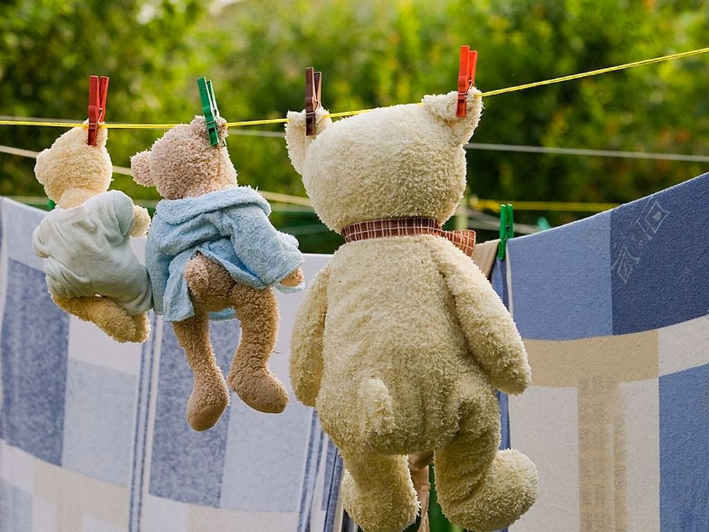 Teddy Funny ~ antaras bakwaas blog