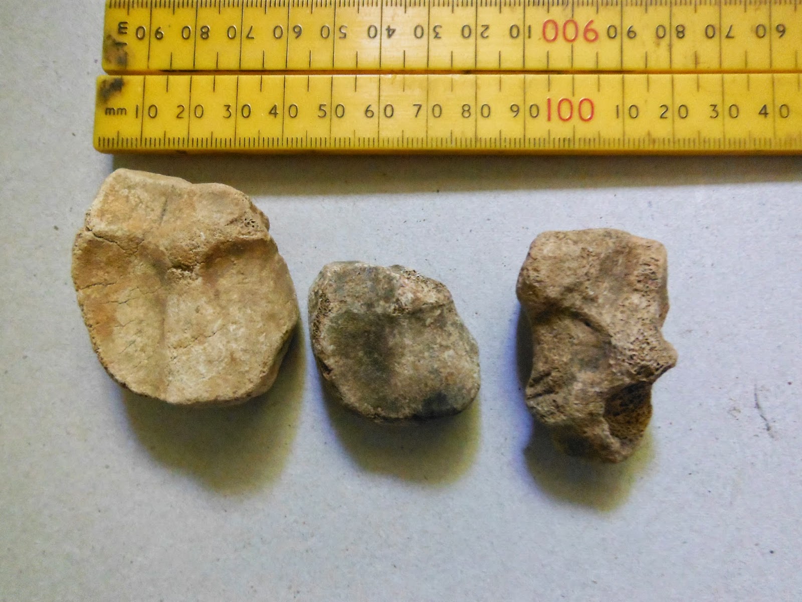 Aboriginal Prehistory Central Qld Area: Origins