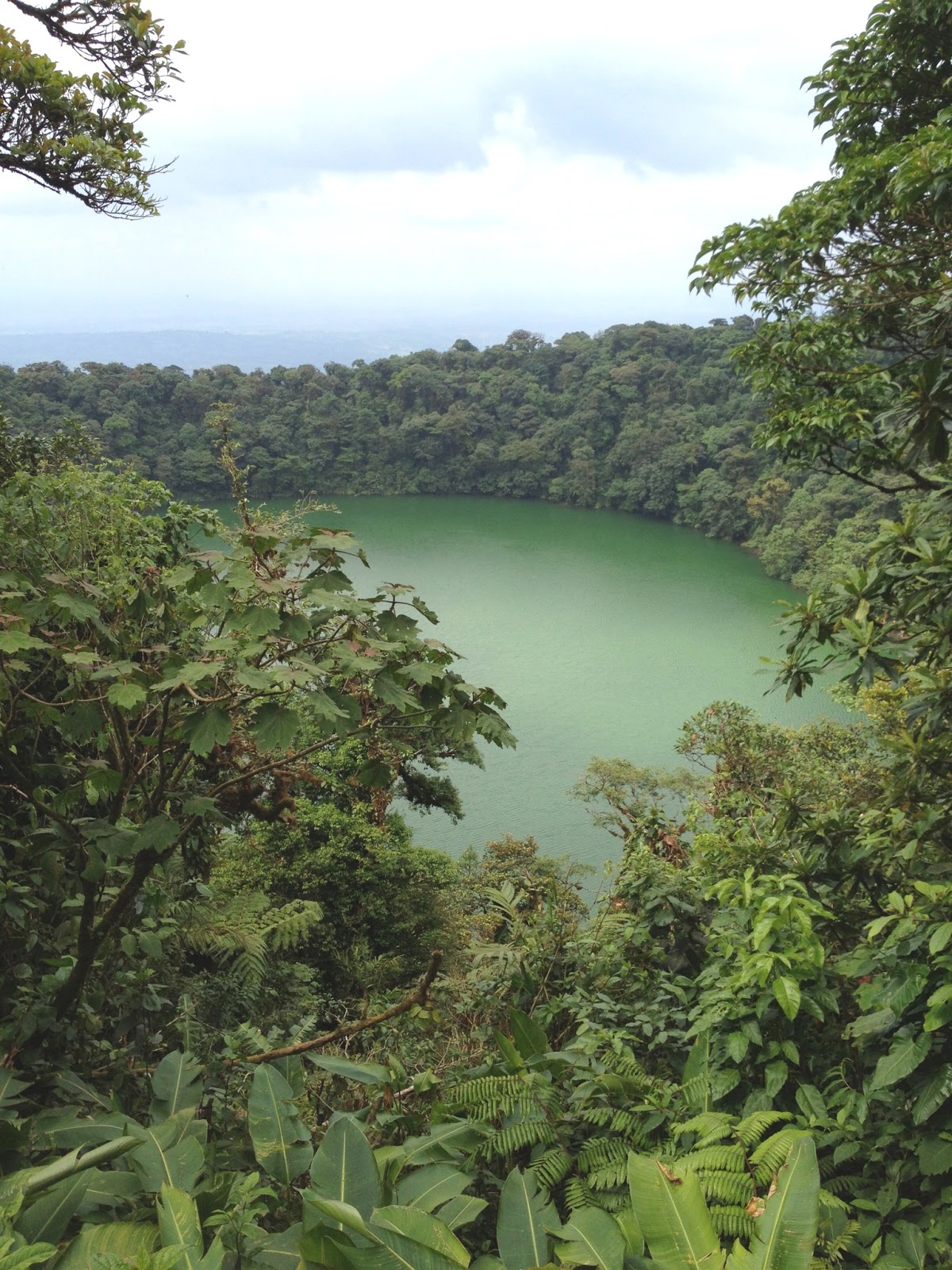 Roam: Cerro chato: an epic hike, more animals and a swim in the volcano ...