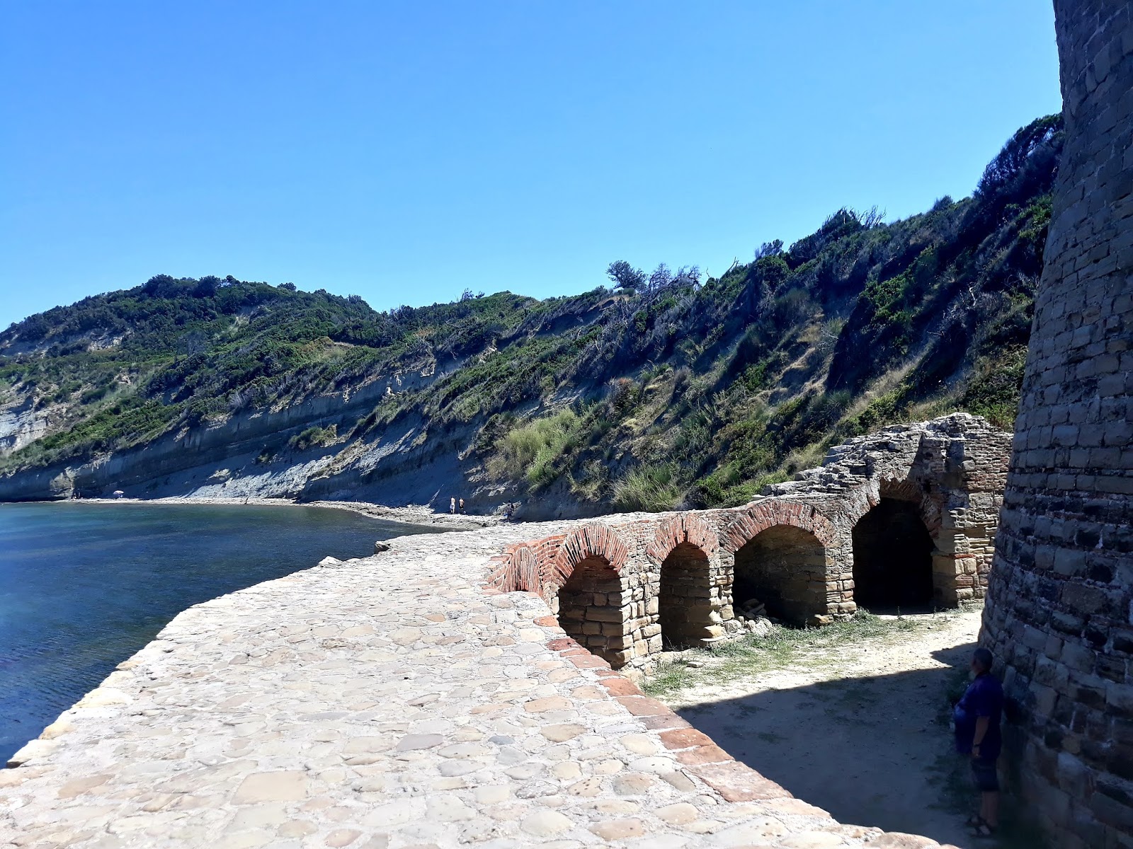 Zające poznają świat.: Półwysep Rodonit