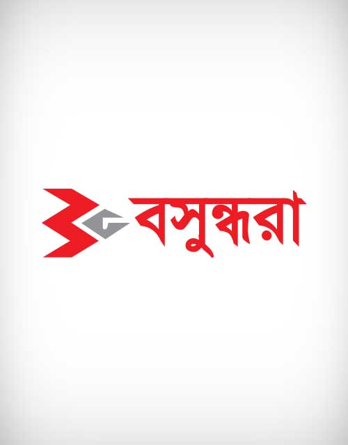 bashundhara group vector logo-2