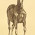 Anthro Anatomica: Points when drawing plantigrade legs