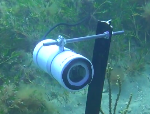 Evolution of low-cost underwater camera technology