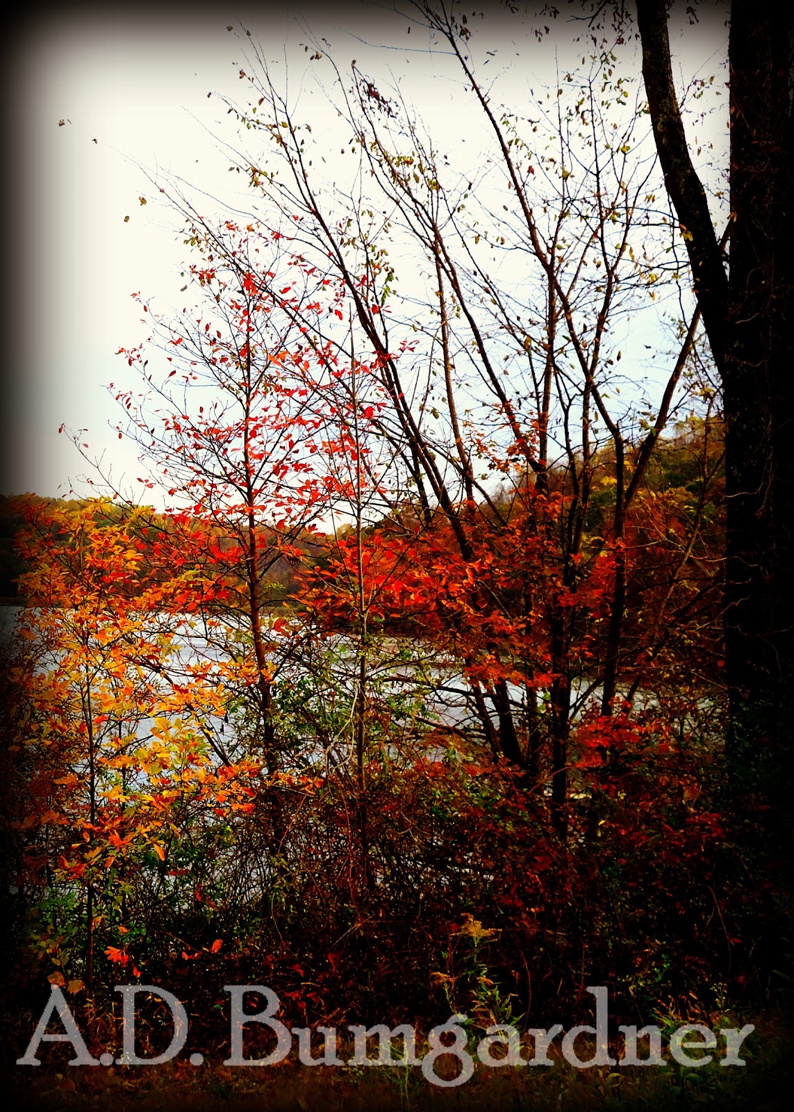 My Life In Photos Mostly Salt Fork State Park Camping Set 3