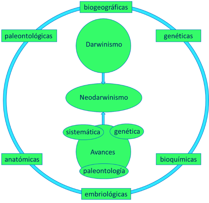 Resumenes y Soluciones: El Neodarwinismo