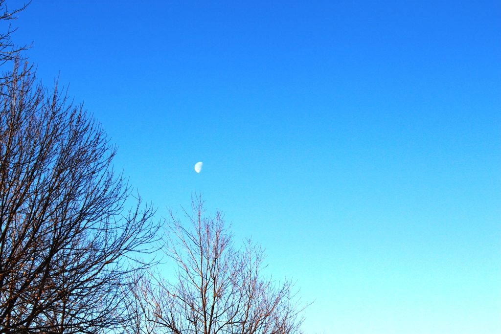 Moon In The Morning