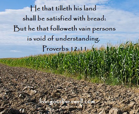 Living Our Lives Well: Proverbs 12 Scripture Pictures