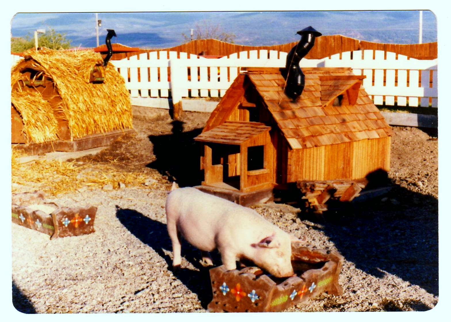 Artistic Impressions: Old McDonald's Farm Theme Park