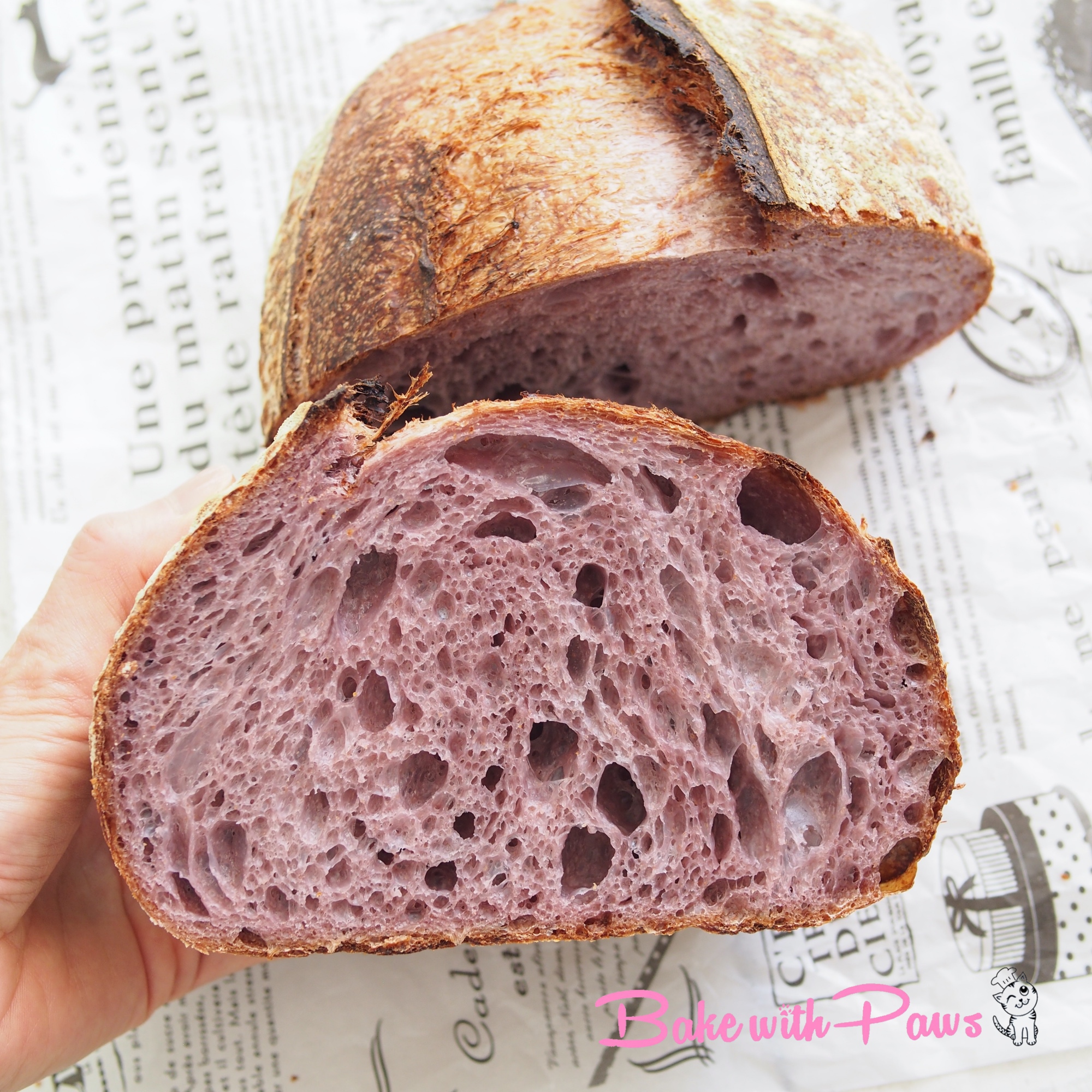 Purple Carrot Open Crumb Sourdough Bread - BAKE WITH PAWS