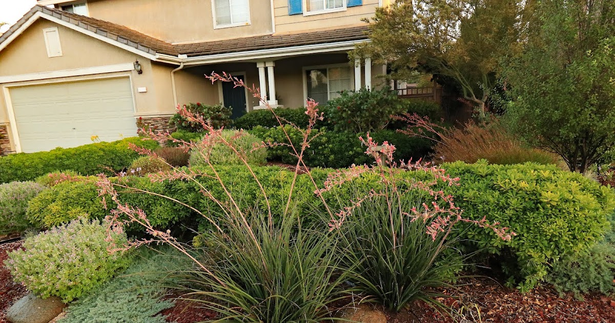 A marvelous DIY garden in Eastlake Chula Vista, California