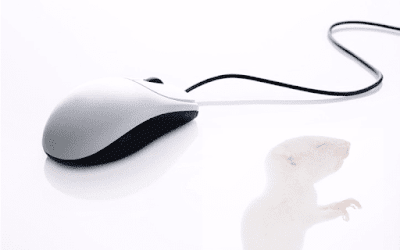 What is Mouse hover attack