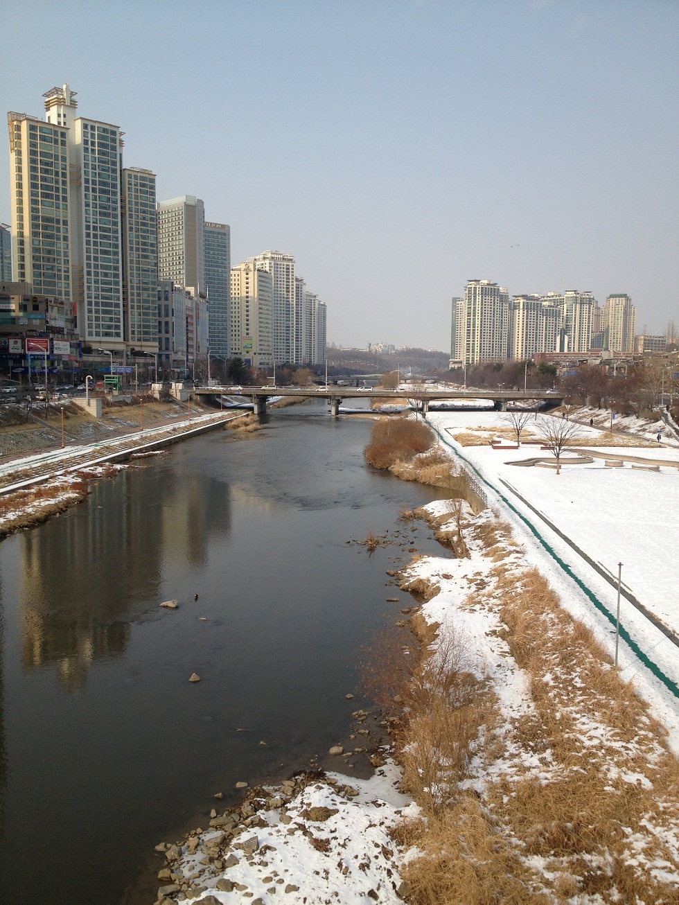 Dispatches From Gangwon: A sunny afternoon in Jeongja-dong, Seongnam ...