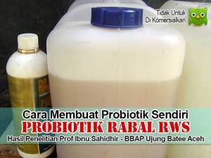 CARA MEMBUAT SENDIRI “PROBIOTIK RABAL RWS” VOLUME 9 LITER