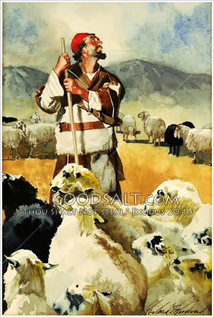 MEMAHAMI DAN MENANGGAPI PANGGILAN TUHAN DALAM HIDUP ANDA - Amos 7: 7-17 ...