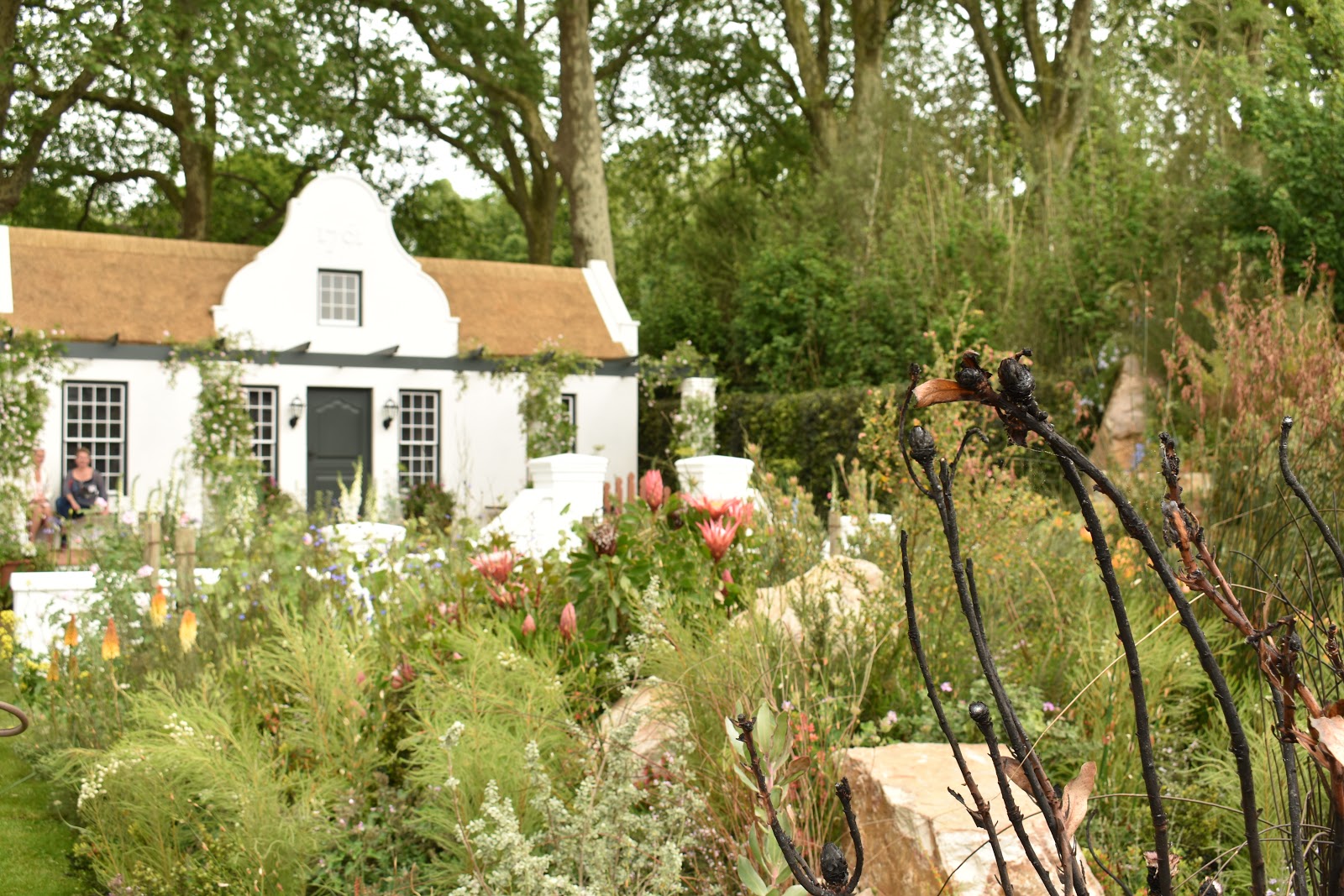 RHS Chelsea 2018: and my winners are........