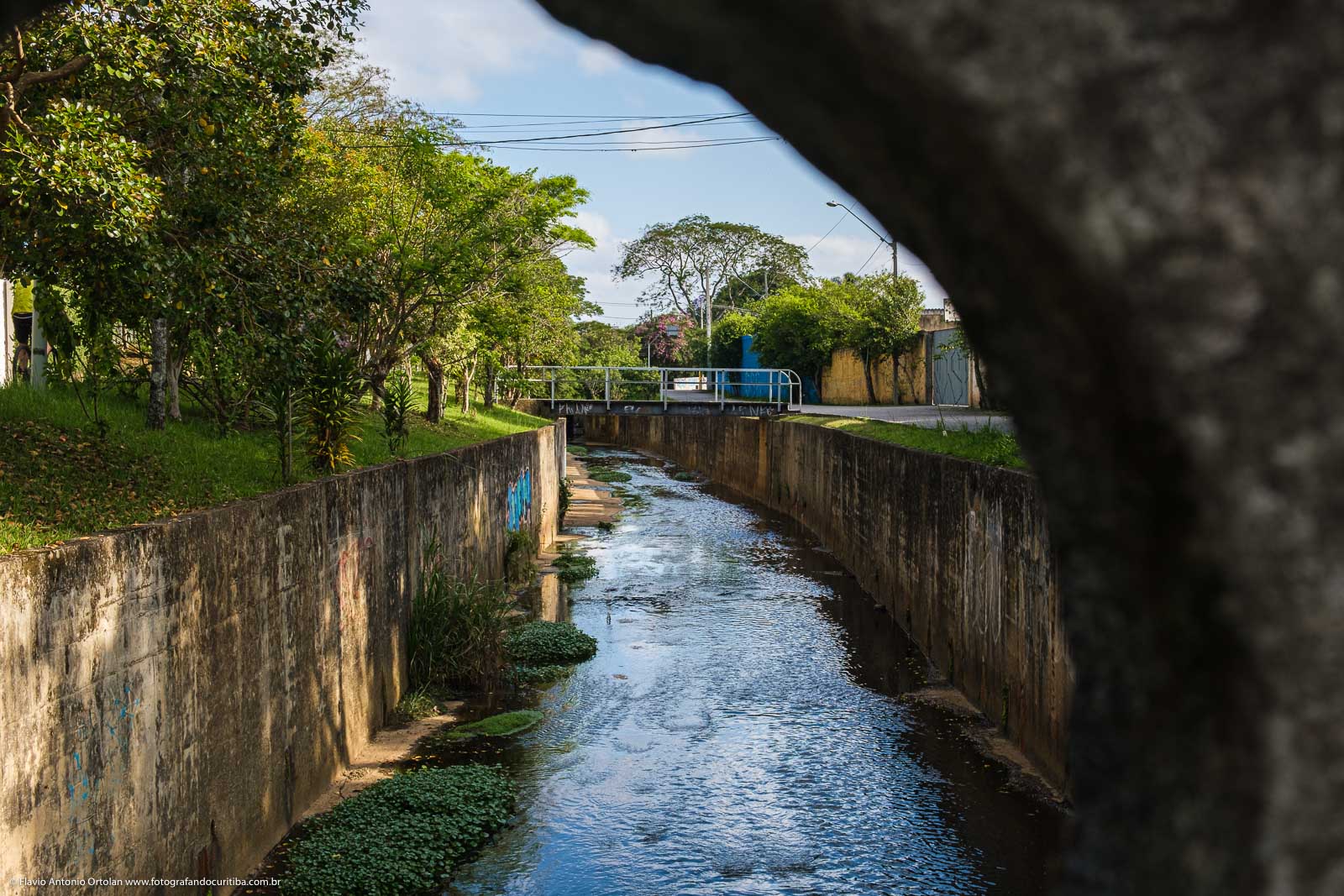 Fotografando Curitiba: Ao longo do Belém