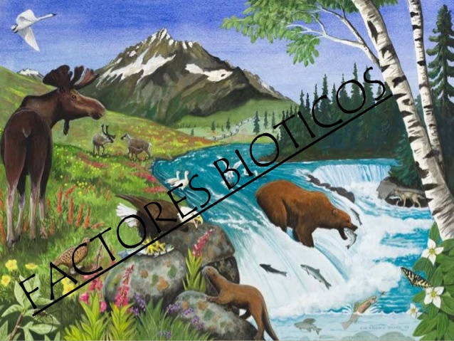 Ecosistema Con Factores Bioticos Y Abioticos - slingo