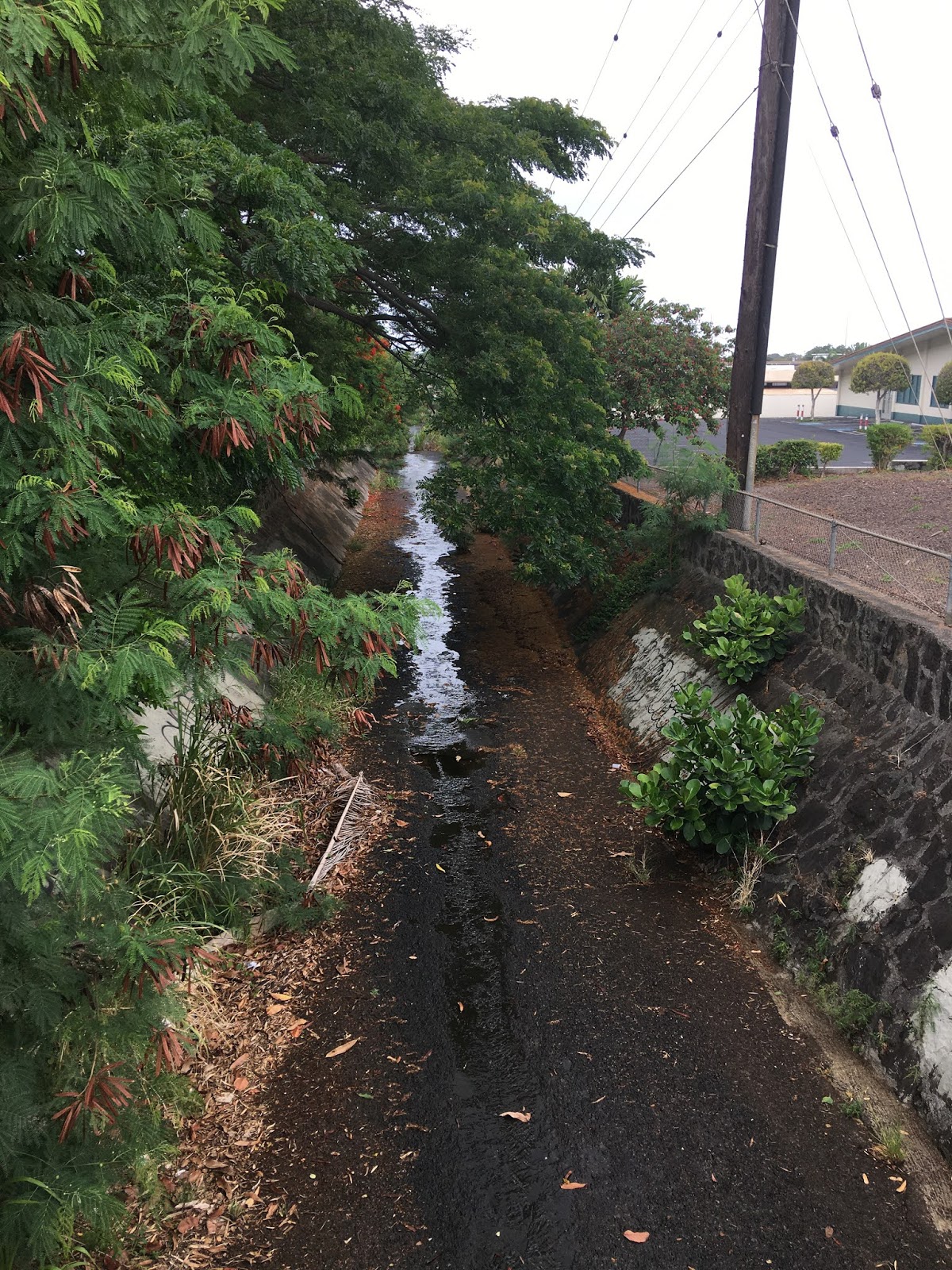 Waialae streams and a Kapakahi puzzle