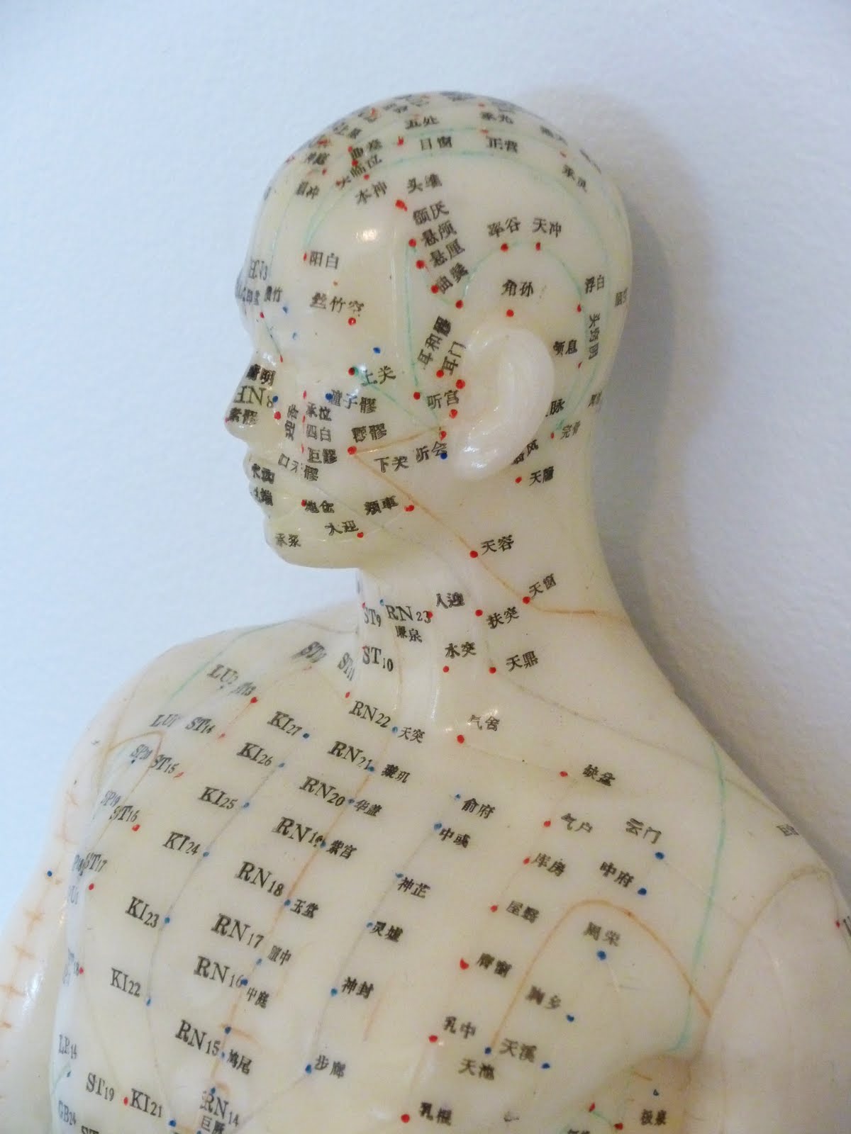 Acupuncture can ease Shoulder and Neck Tension