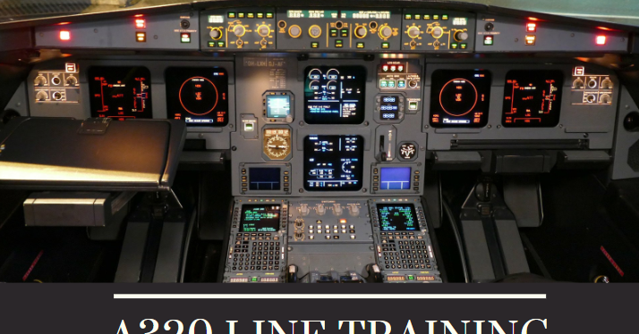 Fly Gosh: A320 Direct Entry First Officer - 200, 500 & 800 Hour Line ...