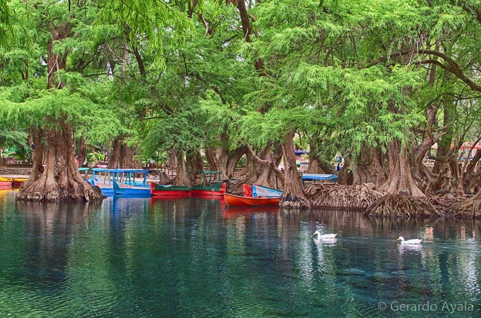 Jaime Ramos Méndez: Parque Nacional Lago de Camécuaro, municipio de ...