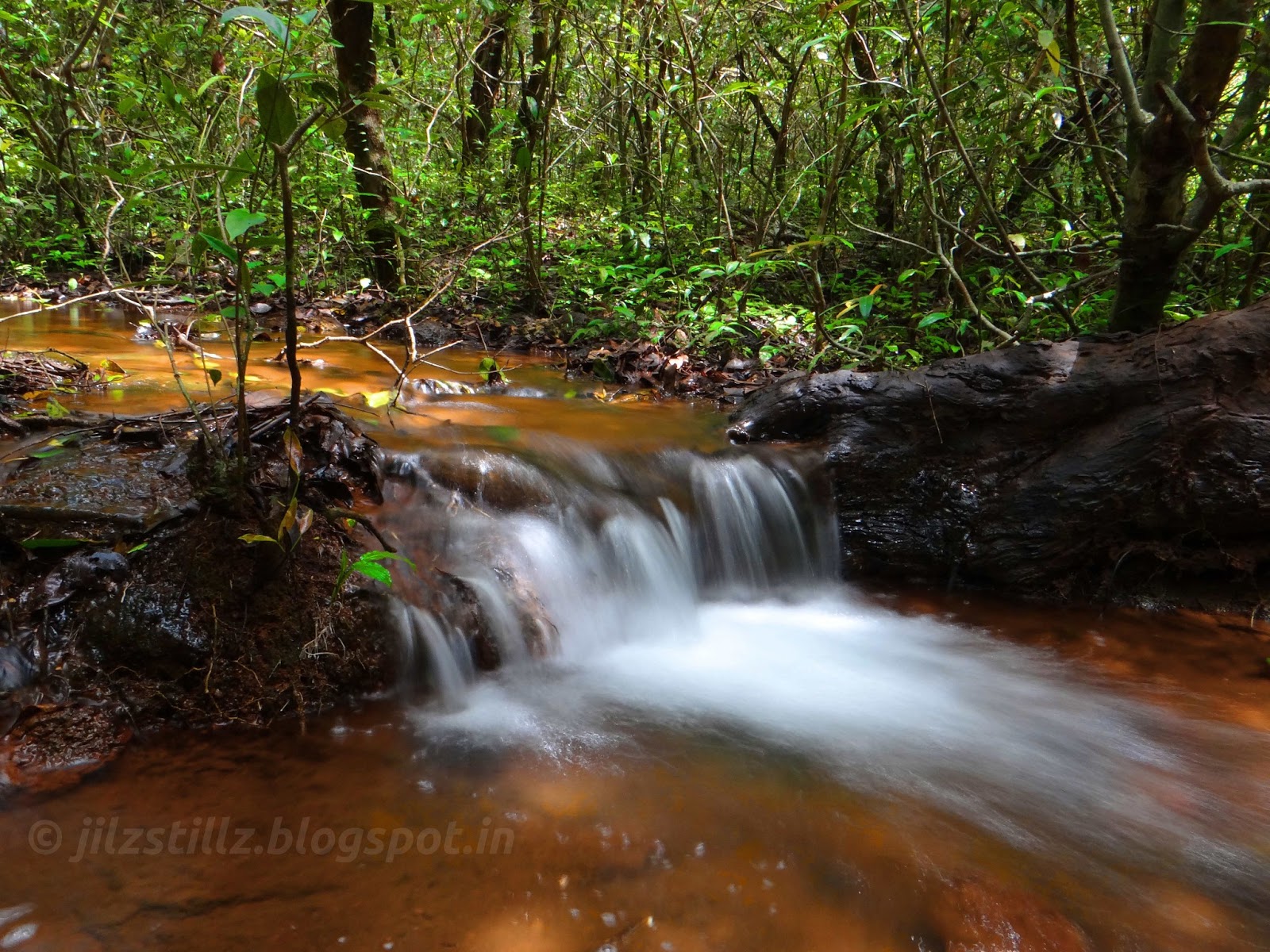 jilzstillz: Neeliyar kottam, Mangattuparamba, Kannur, Kerala...