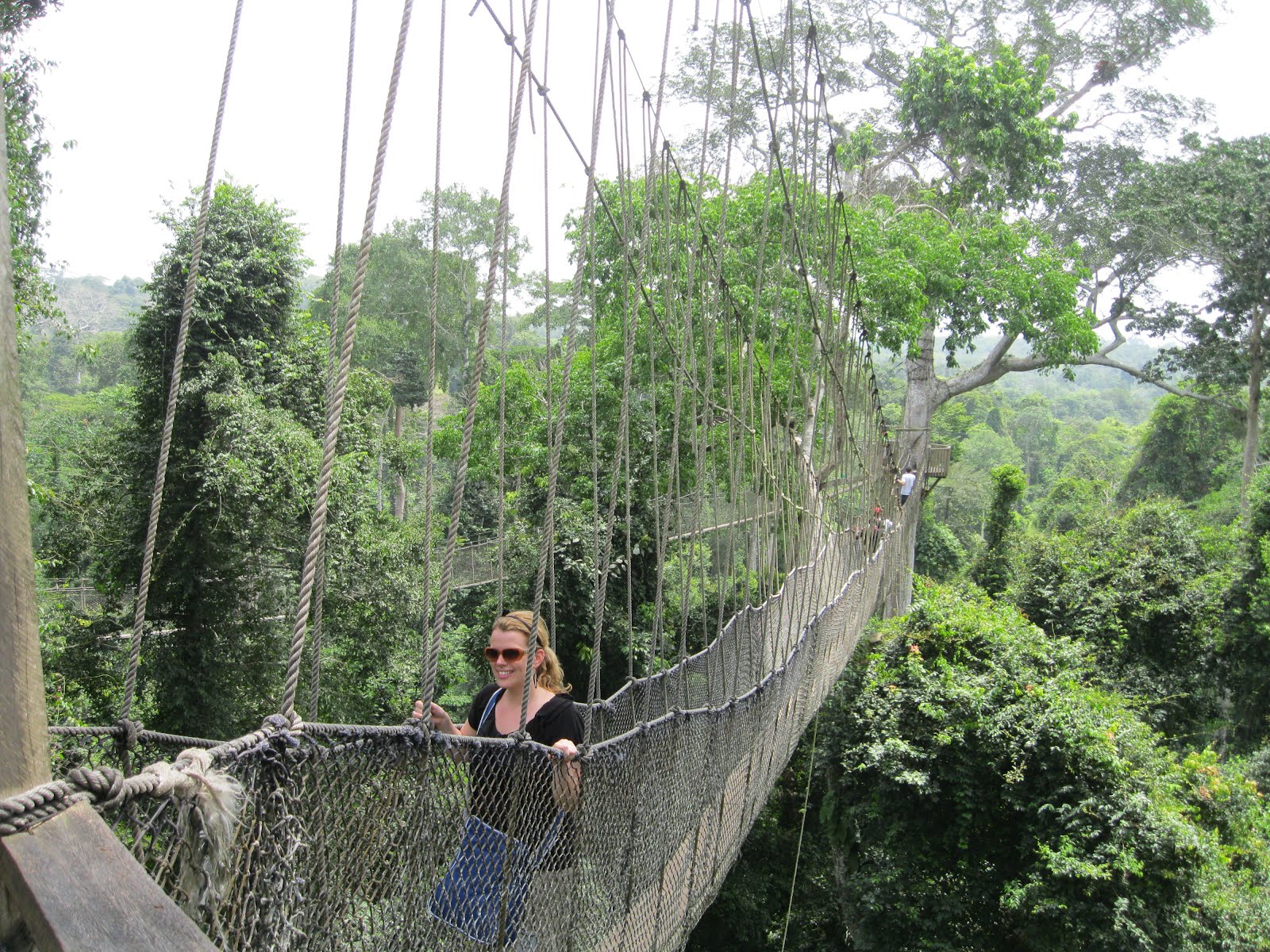 Teachers For Global Classrooms - Ghana 2012: Canopy Walk