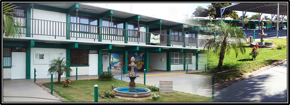 Experiencias 2017: CBTA 197