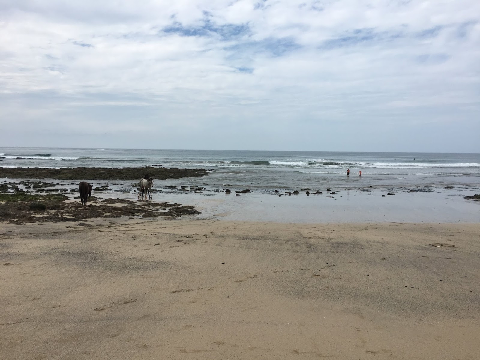 Finlay Family Fun: 2017