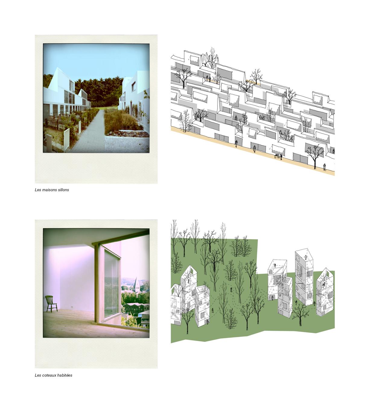 Holdrinet . Boidot . Robin . Ledu . Stillwell – a f a s i a